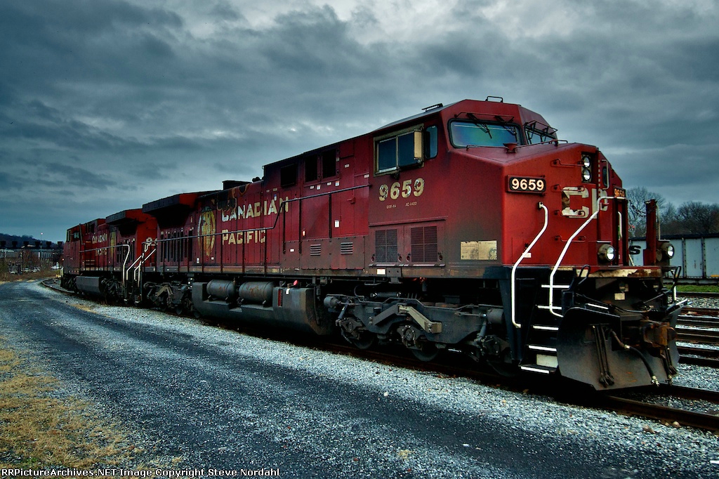 Golden Beavers in Bethlehem, Pa.